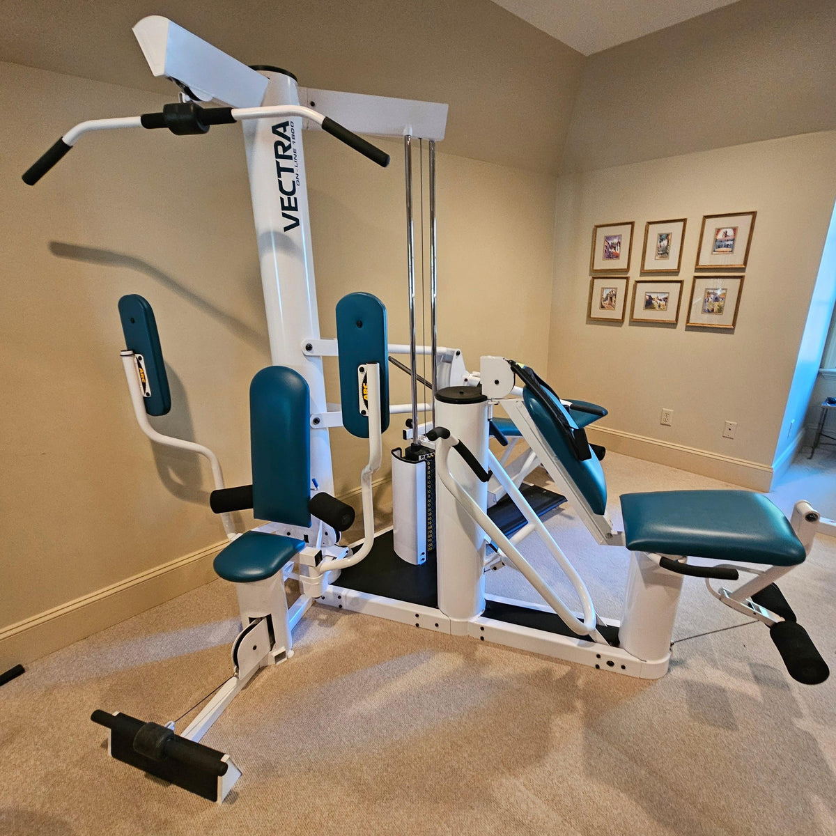 Pre-Owned Vectra On-Line 1800 Strength Training Gym – Exercise Unlimited