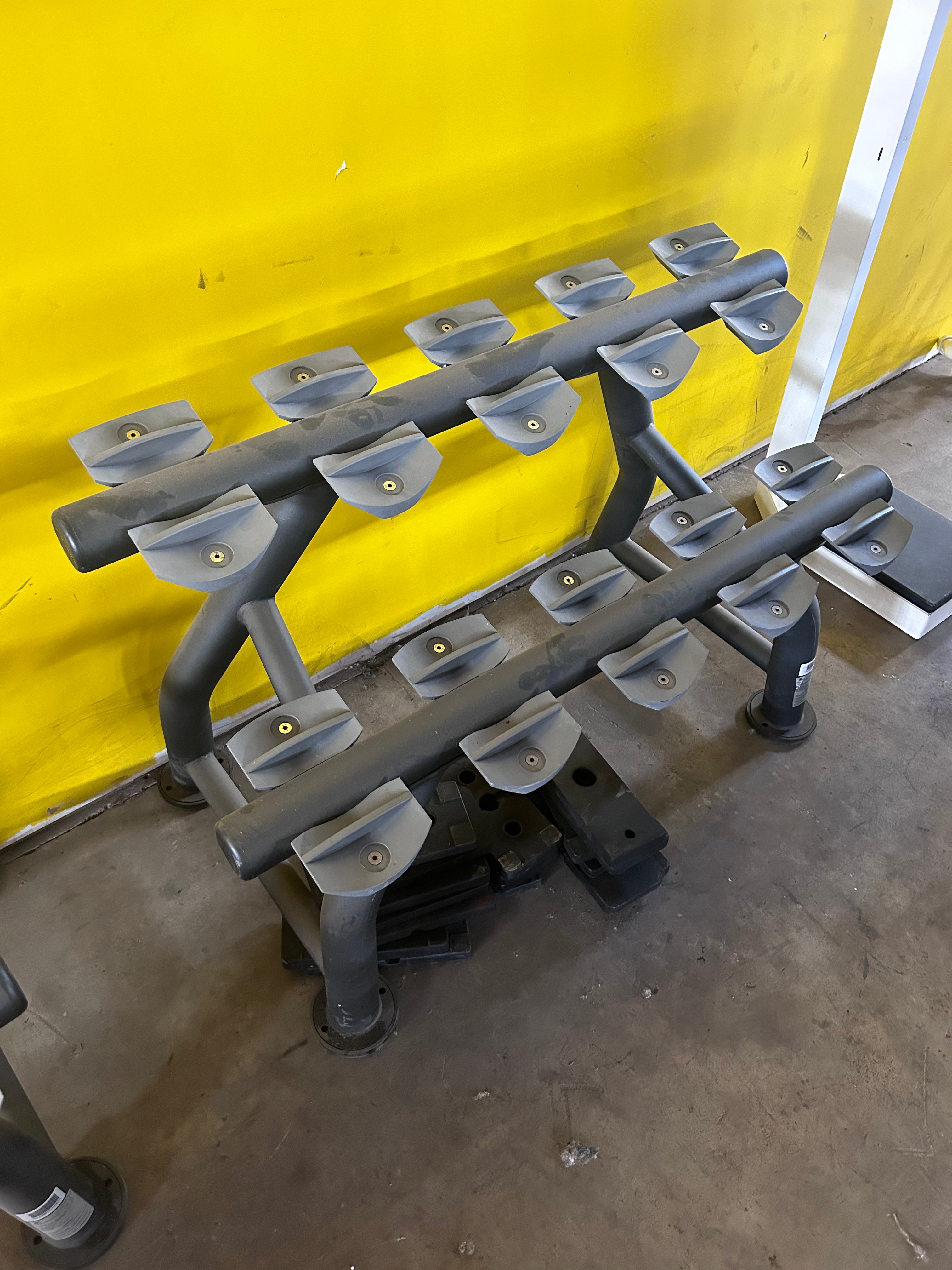 Spirit Ziva 5-Pair Dumbbell Rack – ExerciseUnlimited